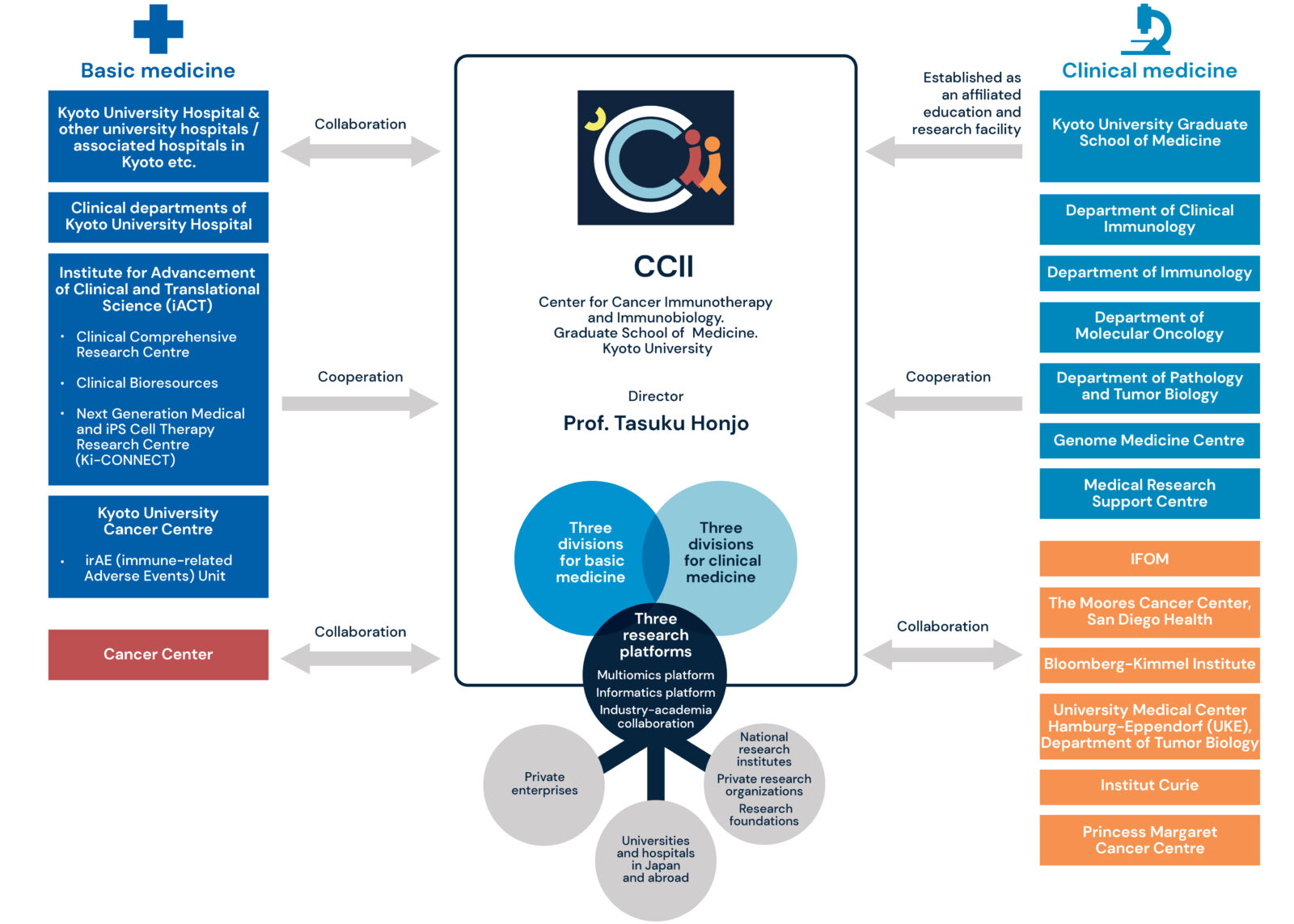 Organization｜About Us｜Center for Cancer Immunotherapy and Immunobiology