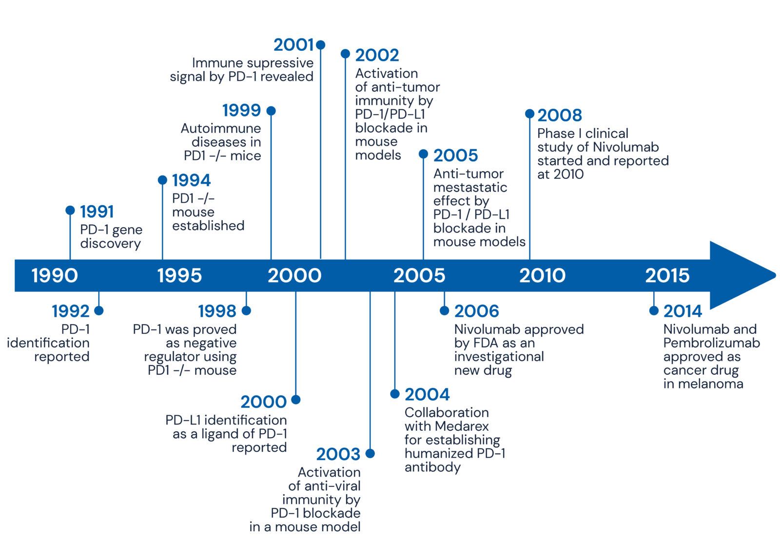 Cancer and the Immune System｜Research｜Center for Cancer Immunotherapy ...